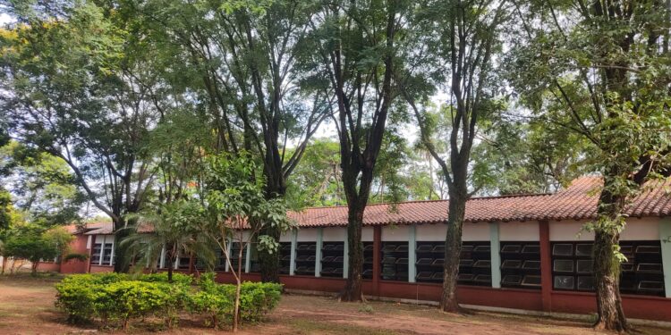 El CRENT no ha recibido respuestas a pedido de soluciones para la ...